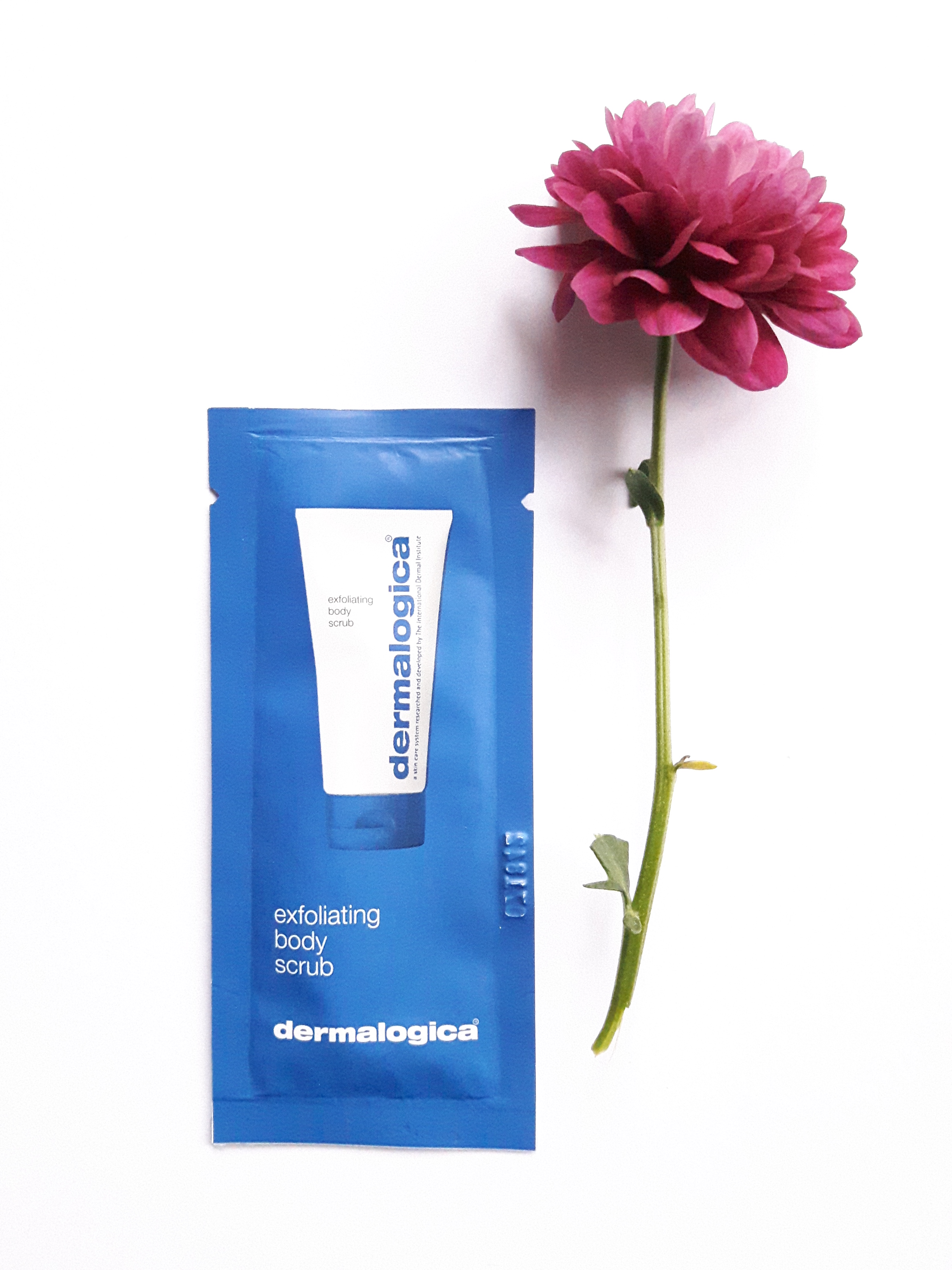 Jersey Beauty Company – Dermalogica Sample Review – Beauty Folio